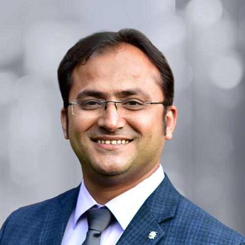 Leadership Team Ranosys